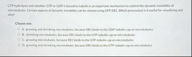 [Solved]: GTP hydrohnis and whether GTP or GDP is bound to t