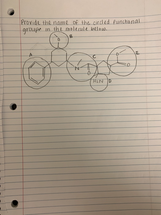 Solved Provide the name of the circled functional group in | Chegg.com