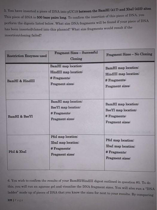 Solved below is a map for the plasmid PUC 19 uses map and | Chegg.com