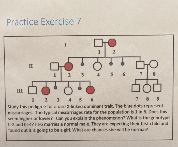 Solved Practice Exercise 4 O For the following autosomal | Chegg.com Solved Practice Exercise 4 O For the following autosomal | Chegg.com