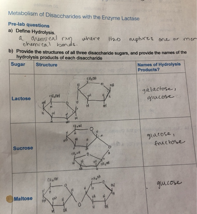 Solved Effect of pH of Lactase Activity Effect of pH on | Chegg.com
