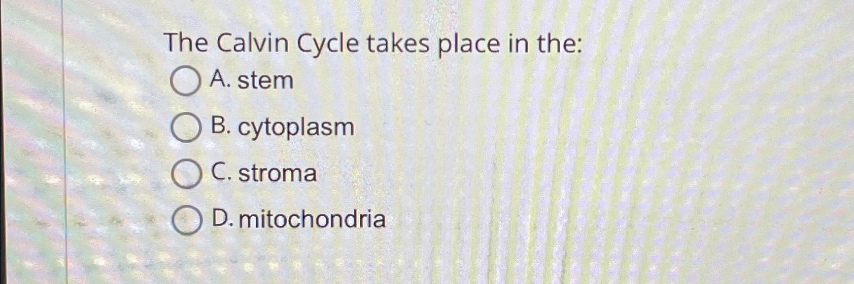 Solved The Calvin Cycle takes place in the:A. ﻿stemB. | Chegg.com