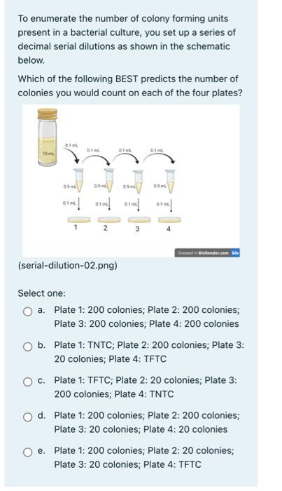 You plated a set of decimal serial dilutions on | Chegg.com