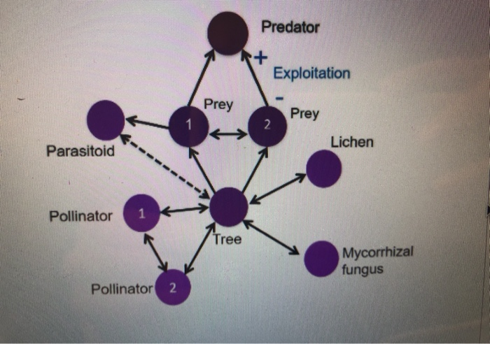 Solved Predator Exploitation Prey Prey 2 Lichen Parasitoid | Chegg.com