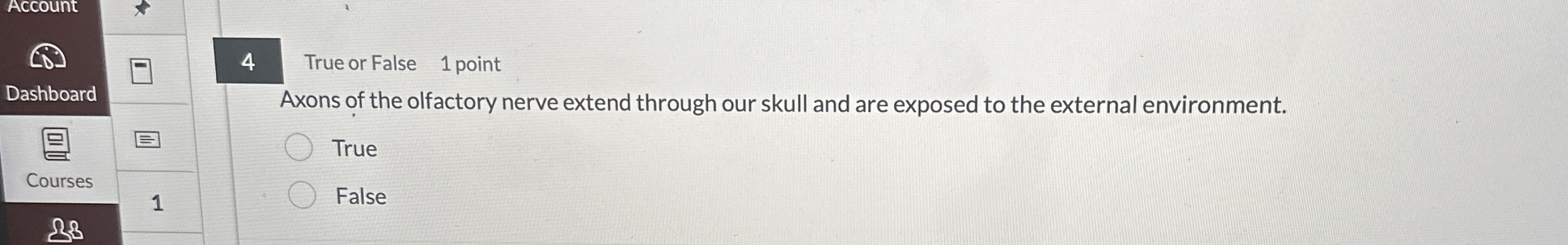 Solved 4True or False 1 ﻿pointDashboardAxons of the | Chegg.com