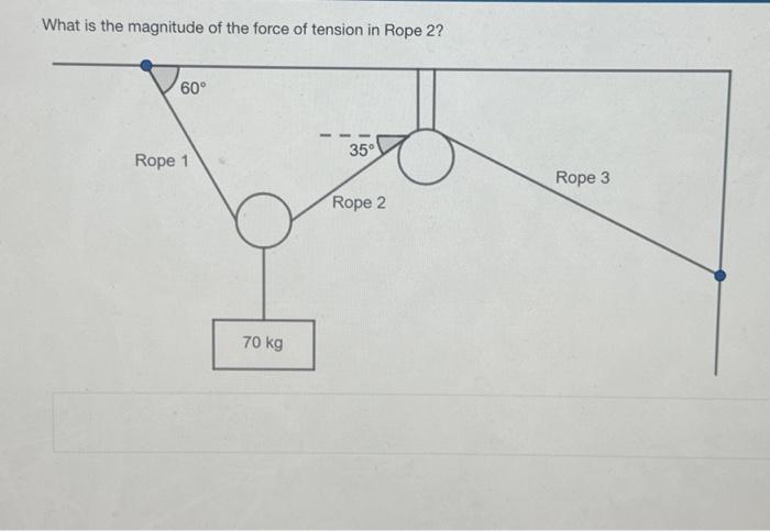 Solved What is the magnitude of the force of tension in Rope | Chegg.com