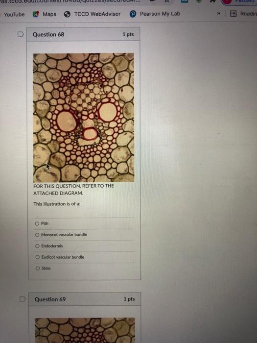Solved Tube Maps TCCD WebAdvisor ? Pearson My Lab Question | Chegg.com