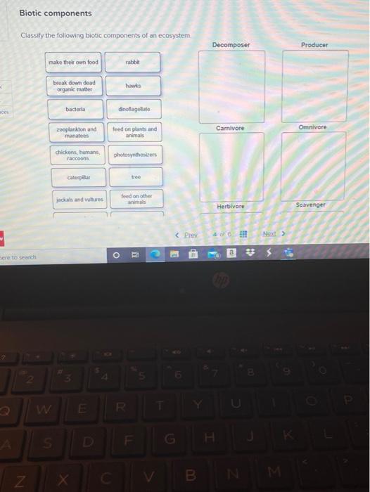 Solved Biotic components Classify the following biotic | Chegg.com