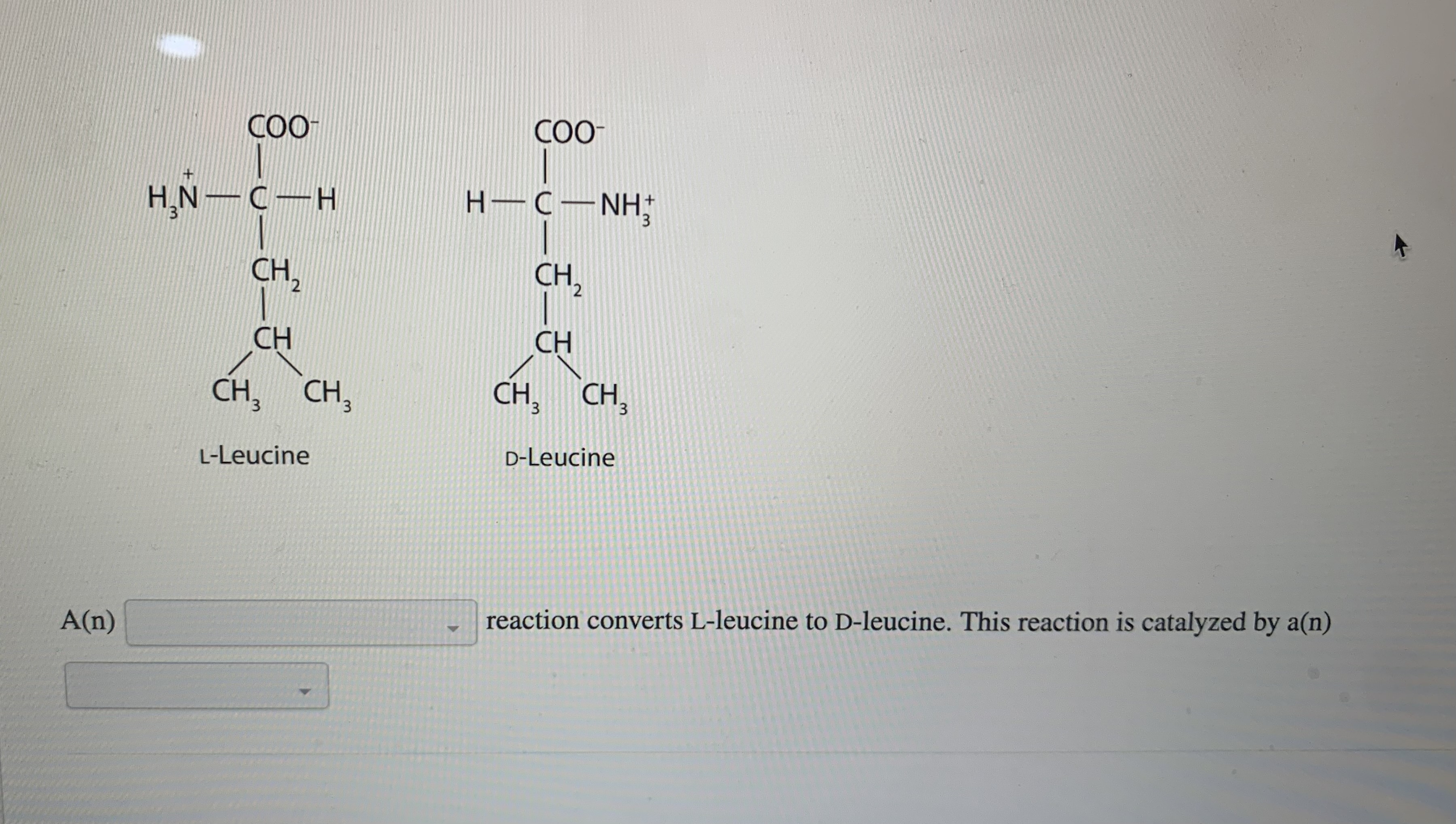 Solved For each pair of biomolecules, identify the type of | Chegg.com
