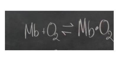 Solved Mb+O2⇌Mb∘⋅O22. Oxygen Handling (a) What is the name | Chegg.com