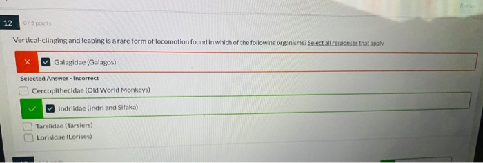 Solved 12 0/5 points Vertical-clinging and leaping is a rare | Chegg.com