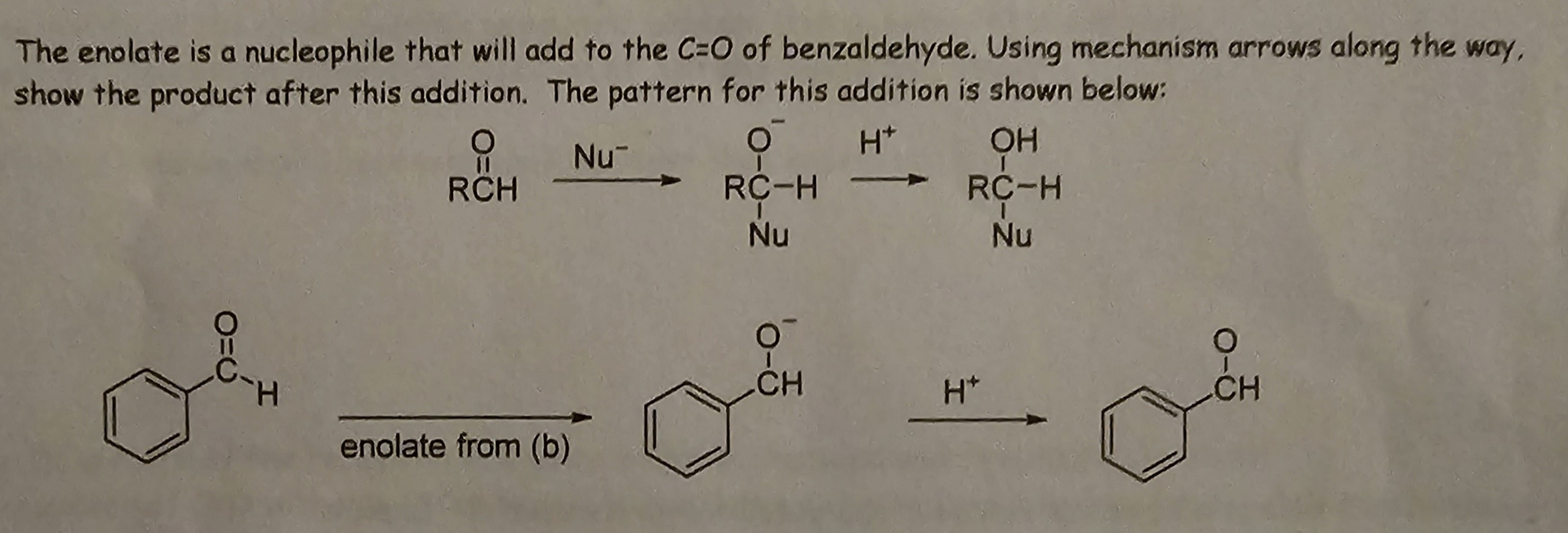 The enolate is a nucleophile that will add to the C=O | Chegg.com