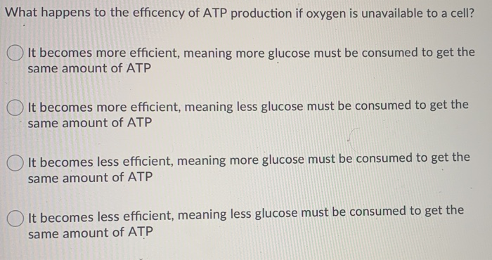 Solved What happens to the efficency of ATP production if | Chegg.com