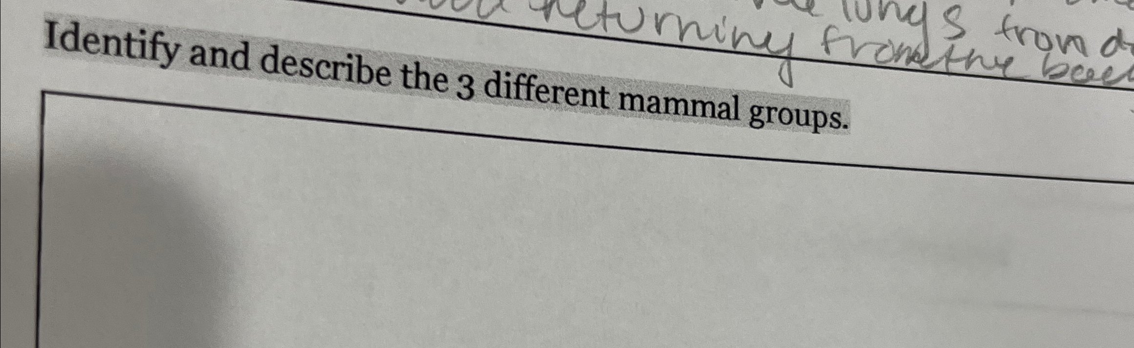 Solved Identify and describe the 3 ﻿different mammal groups. | Chegg.com