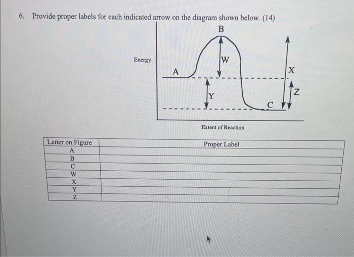 Solved 6. Provide proper labels for each indicated arrow on | Chegg.com