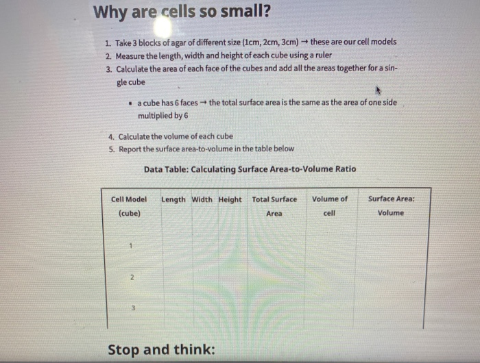 Solved Why are cells so small? 1. Take 3 blocks of agar of | Chegg.com