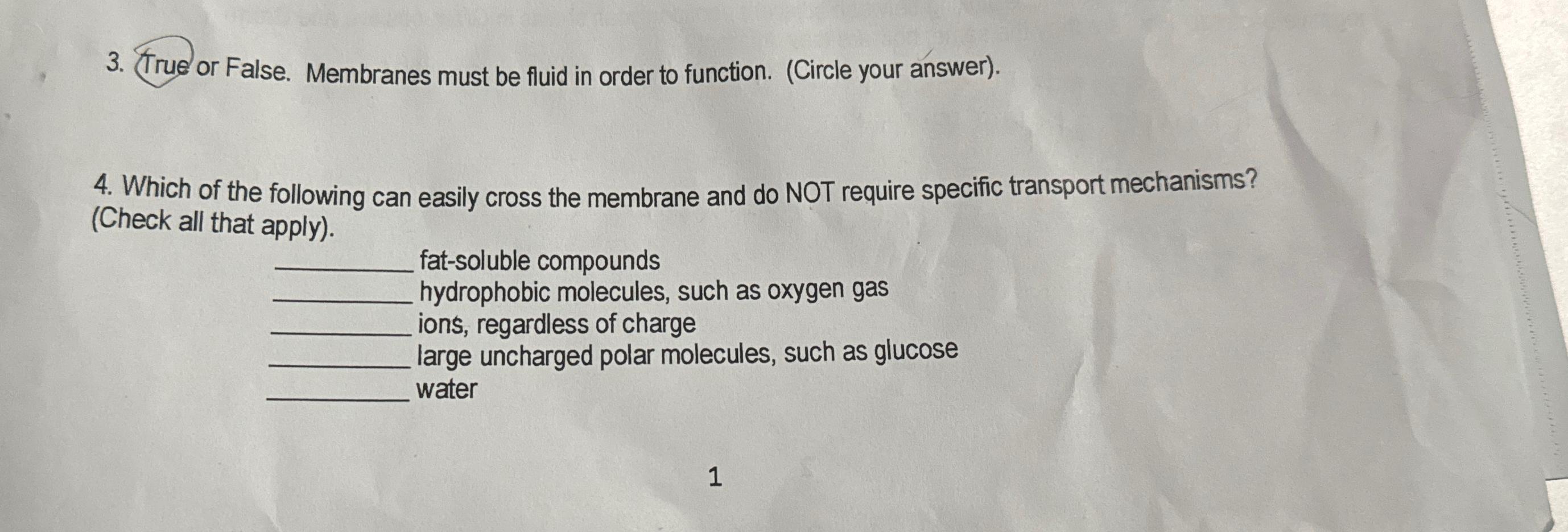 Solved True or False. Membranes must be fluid in order to | Chegg.com
