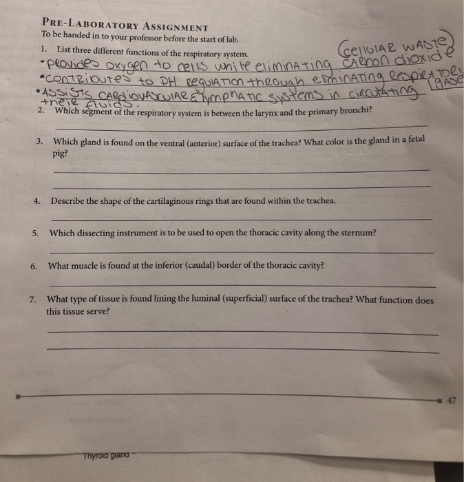 Solved PRE-LABORATORY ASSIGNMENT To be handed in to your | Chegg.com