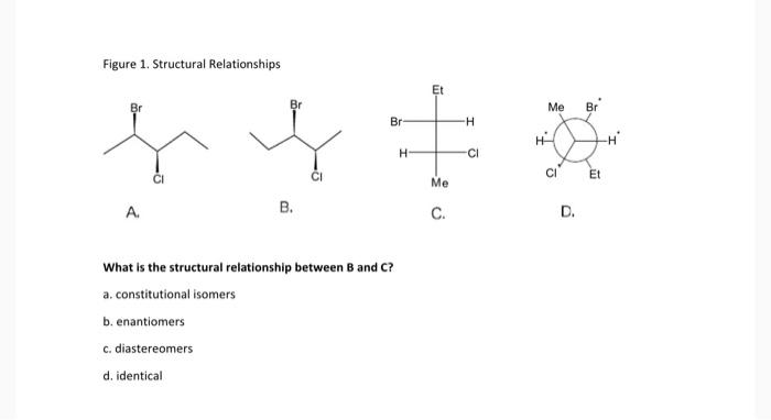 Solved Figure 1. Structural Relationships A. B. C. D. What | Chegg.com