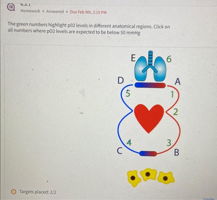 Solved The green numbers highlight p02 levels in different | Chegg.com