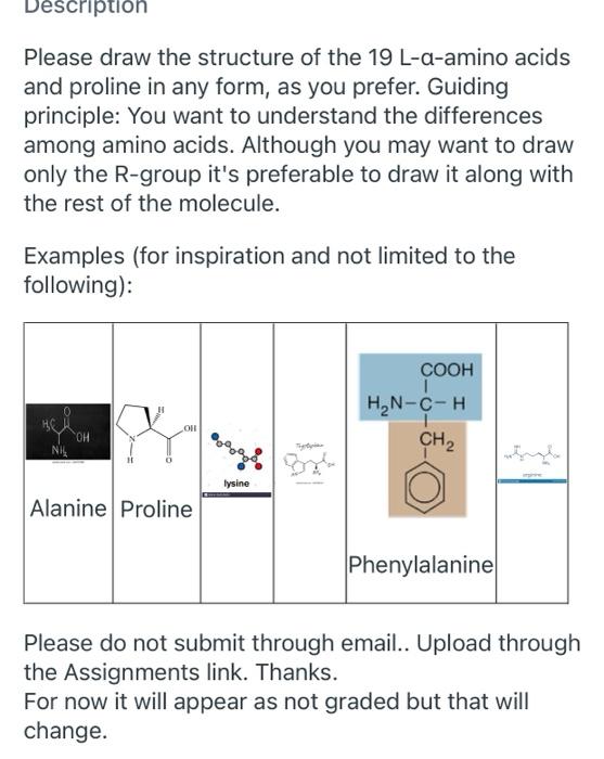 Solved Description Please draw the structure of the 19 | Chegg.com