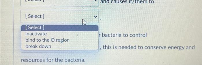 Solved 4. (Multiple drop downs) Please choose the term or | Chegg.com