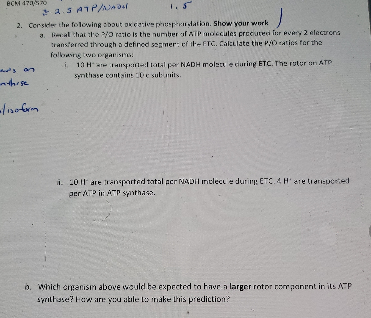 Solved ВСМ 470/5702. ﻿Consider the following about oxidative | Chegg.com