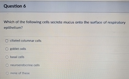 Solved Question 6Which of the following cells secrete mucus | Chegg.com