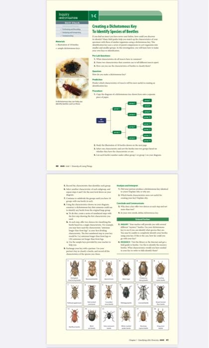 Cartoon Characters Dichotomous Mey Aasignment t. (14) | Chegg.com