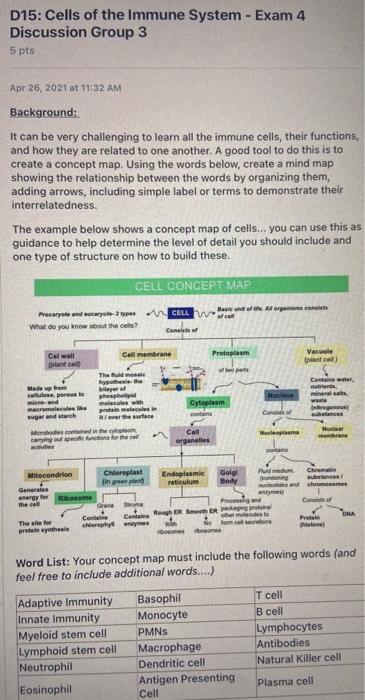 Solved D15: Cells of the Immune System - Exam 4 Discussion | Chegg.com