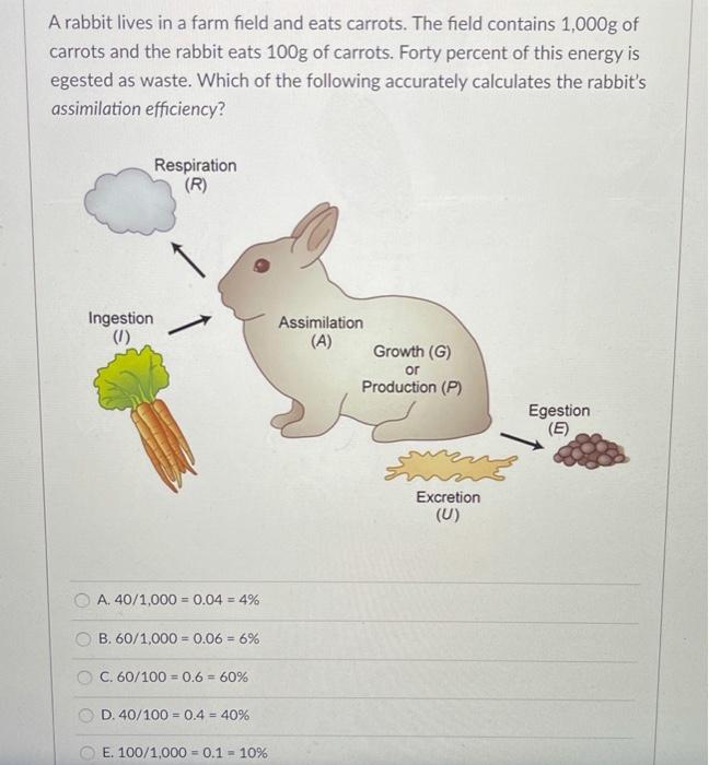 Solved A rabbit lives in a farm field and eats carrots. The | Chegg.com