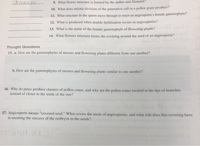 Solved 9 What Flower Structure Is Formed By The Anther And Chegg