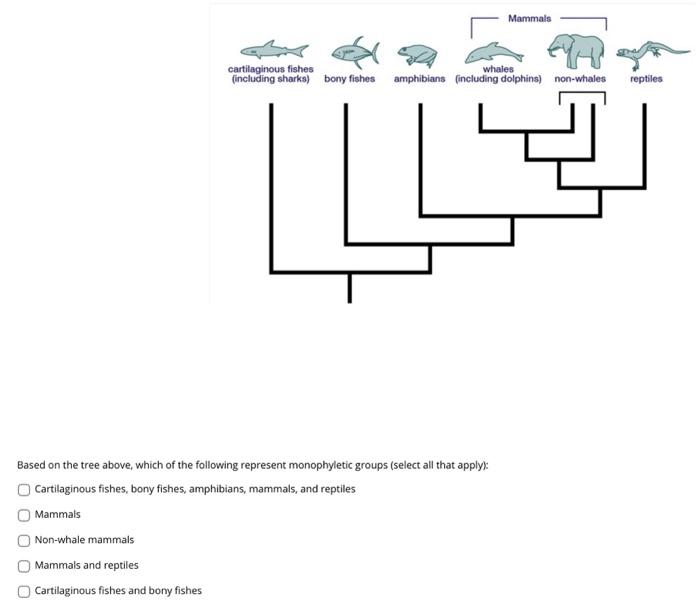 Solved Based on the tree above, which of the following | Chegg.com