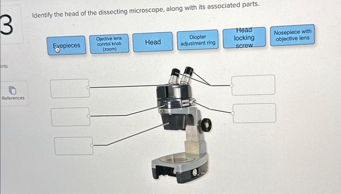 Solved Identify the head of the dissecting microscope, along | Chegg.com