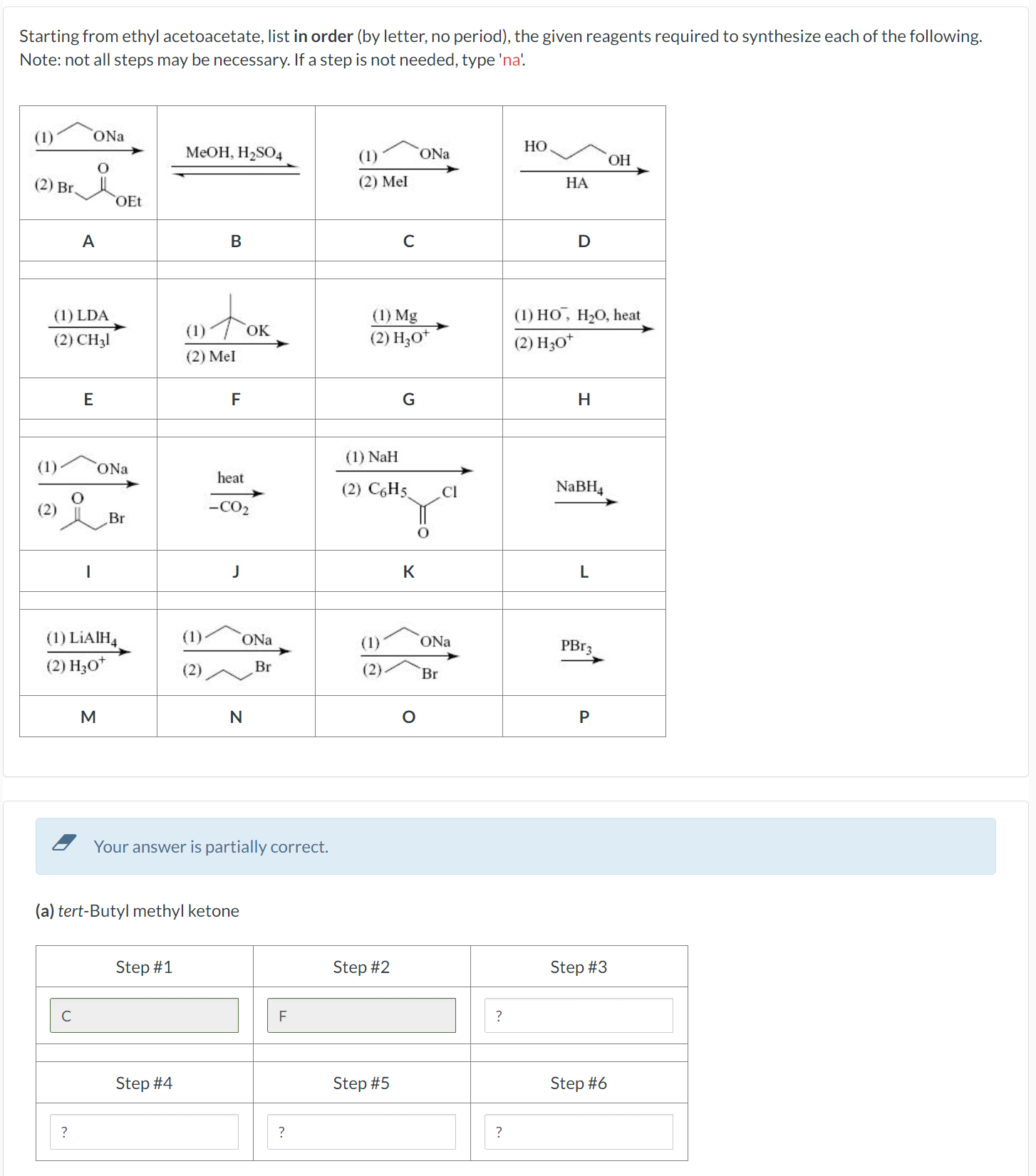 Solved Starting from ethyl acetoacetate, list in order (by | Chegg.com