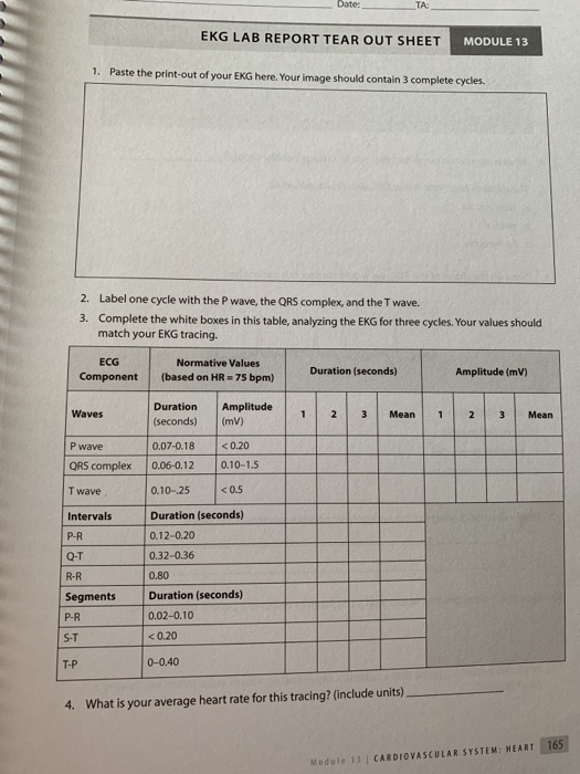 Solved EKG LAB REPORT TEAR OUT SHEET MODULE 13 1. Paste the | Chegg.com