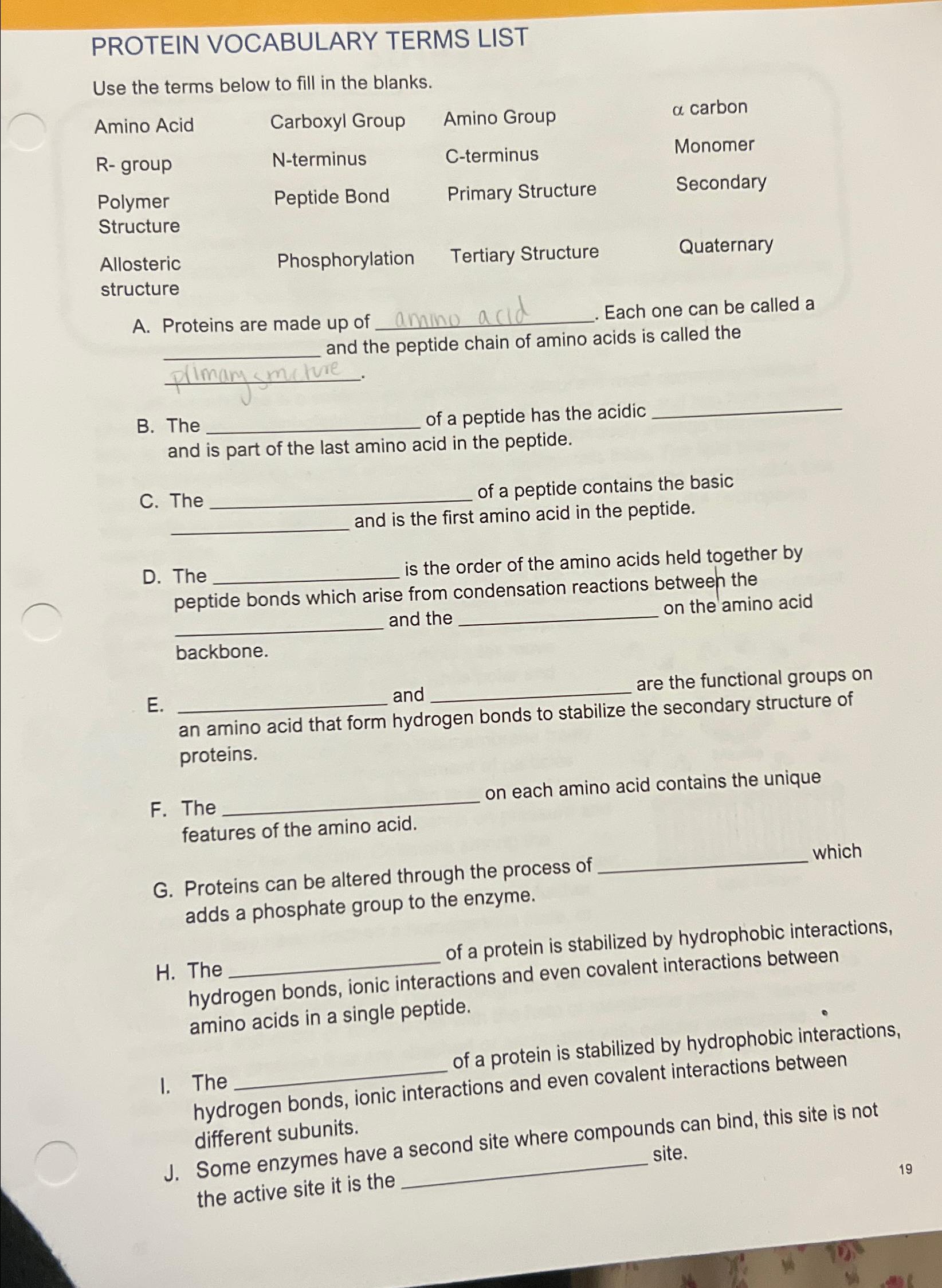 Solved PROTEIN VOCABULARY TERMS LISTUse the terms below to | Chegg.com