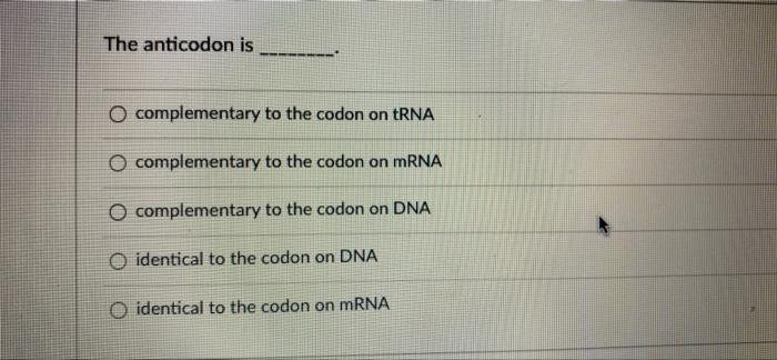 Solved The anticodon is O complementary to the codon on tRNA | Chegg.com