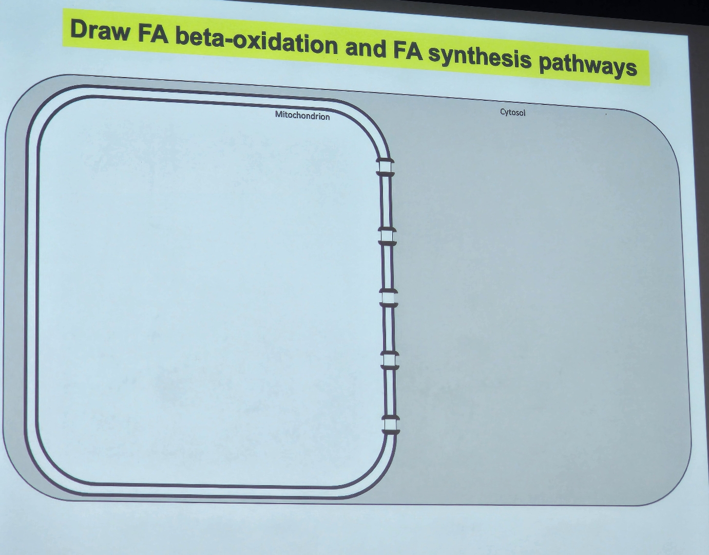 Solved Draw FA beta-oxidation and FA synthesis pathways | Chegg.com