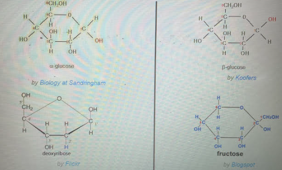 Solved Using the CheMagic Virtual Molecular Model Kit, build | Chegg.com