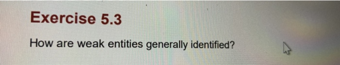 Solved Checkpoint 4.3 book: Database Design Using Entity | Chegg.com