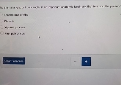 Solved he sternal angle, or Louis angle, is an important | Chegg.com