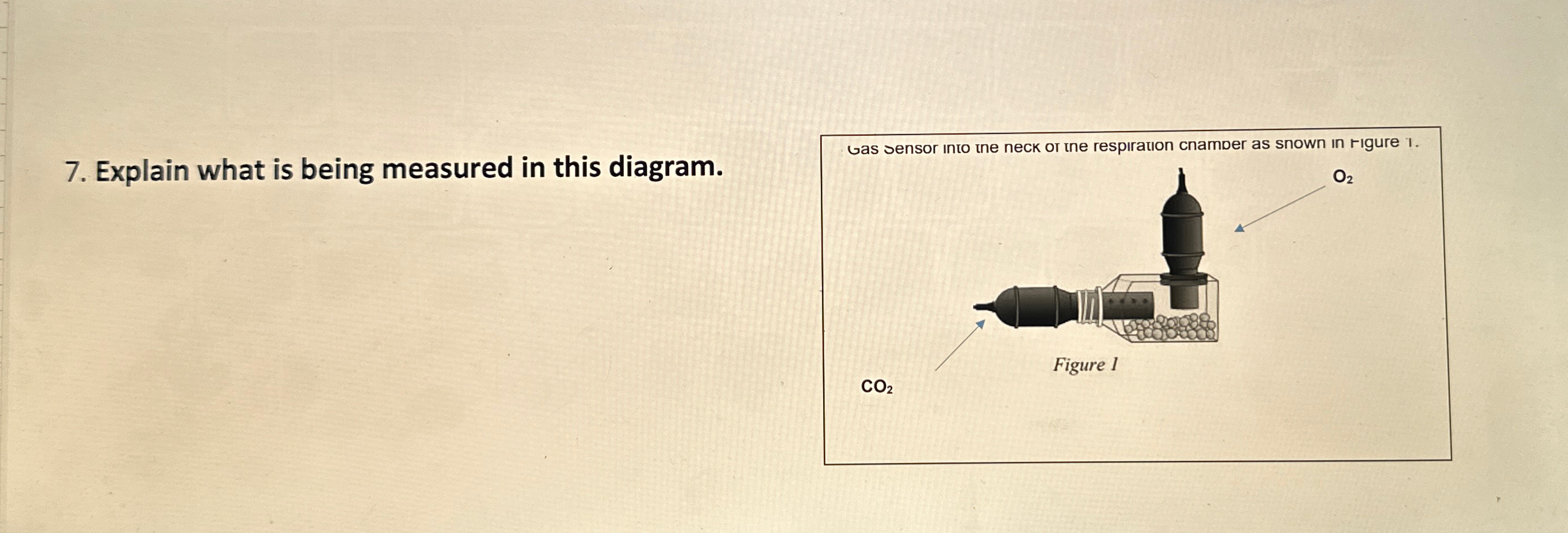Solved Explain what is being measured in this diagram. | Chegg.com