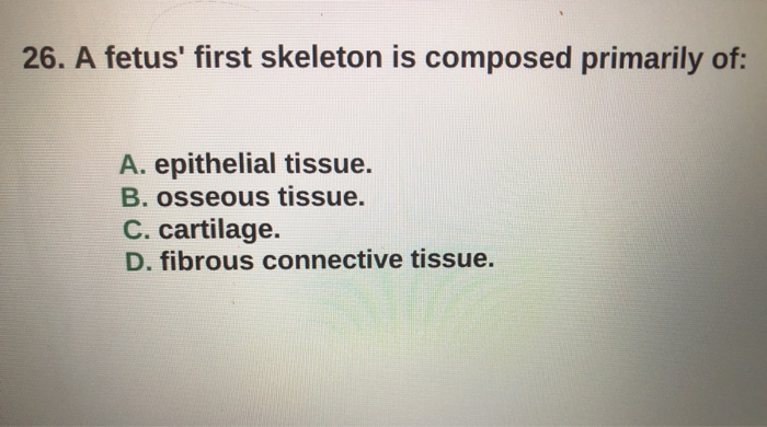 Solved 25. What is the basic structural unit of bone? A. | Chegg.com
