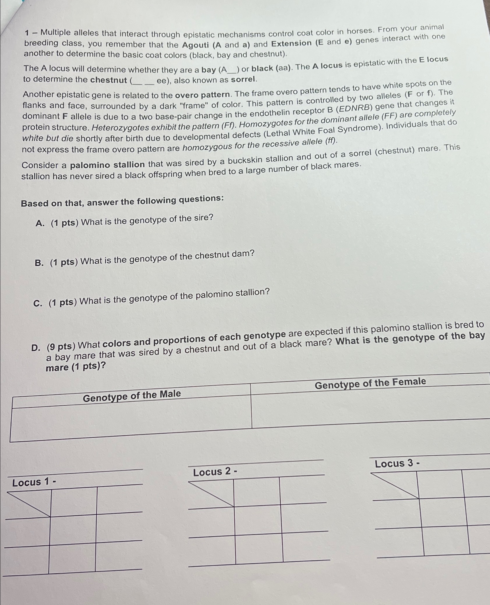 Solved 1 - ﻿Multiple alleles that interact through epistatic | Chegg.com