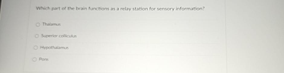 Solved Which part of the brain functions as a relay station | Chegg.com