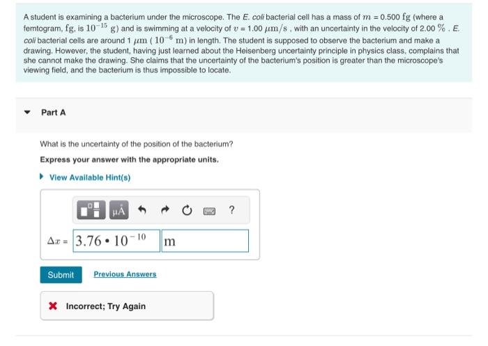 Solved A student is examining a bacterium under the | Chegg.com
