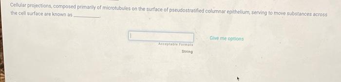 Solved Cellular projections, composed primatily of | Chegg.com