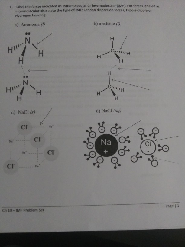 Solved 1. Label the forces indicated as intramolecular or | Chegg.com