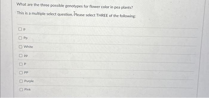 What are the three possible genotypes for flower | Chegg.com